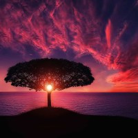 Blog – Chasing Windmills